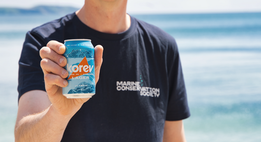 korev lager | St Austell Brewery